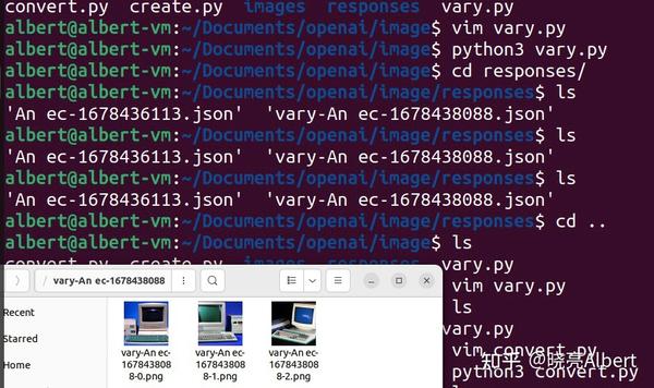 使用 DALL·E 2 模型和 OpenAI API 生成图像 - 知乎