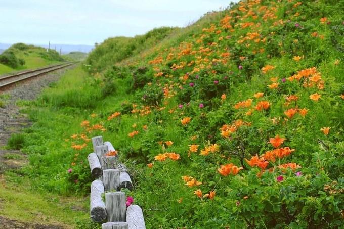 北海道道东||好多人去北海道，我去的是秘境 - 知乎
