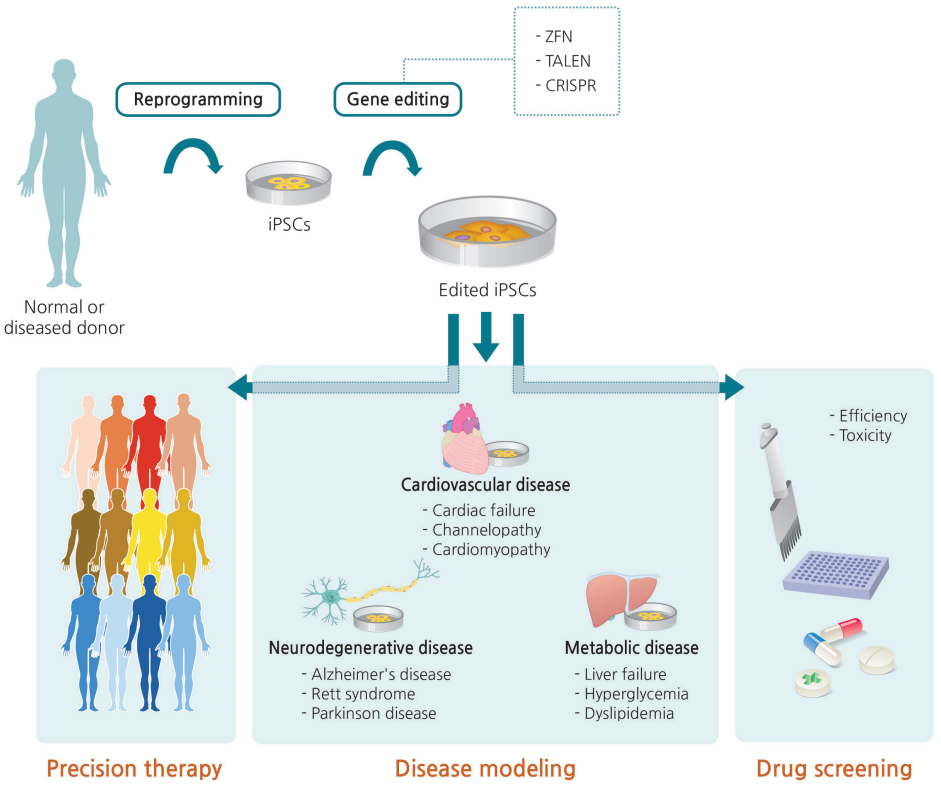 iPSC基因编辑过程状况百出？这些实践中屡试不爽的方法分享给你！ - 知乎