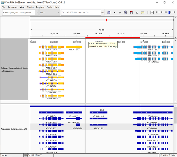 IGV-GSAman |「功能基因组时代」的高效率科研工具 - 知乎