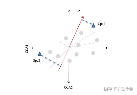 环境因子与微生物群落的关联方法之RDA/CCA分析 - 知乎