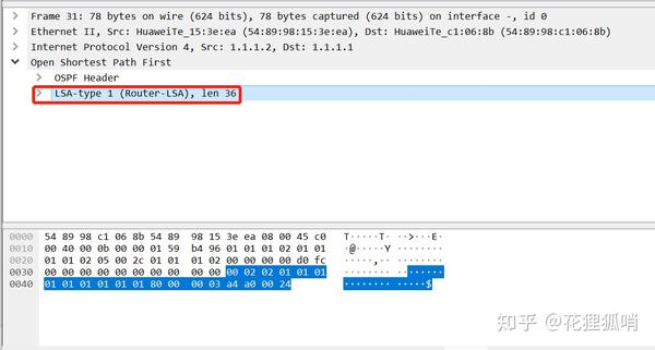 OSPF报文格式 - 知乎
