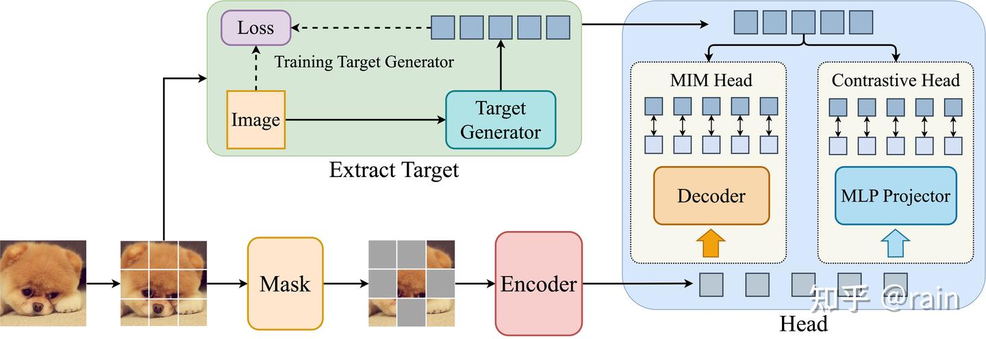 Masked Modeling Survey - 知乎