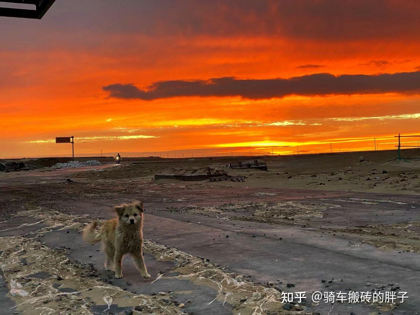 第19天 青海·国道G315 - 知乎