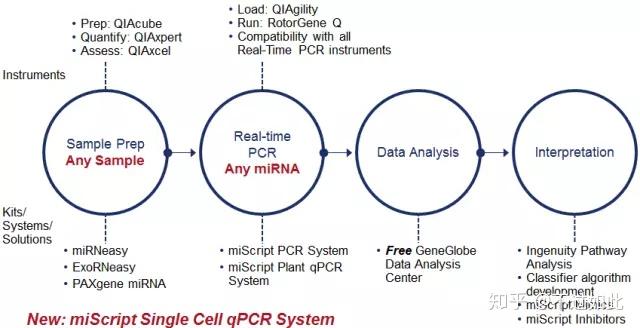 【新手快速入门】miRNA的qPCR检测 - 知乎