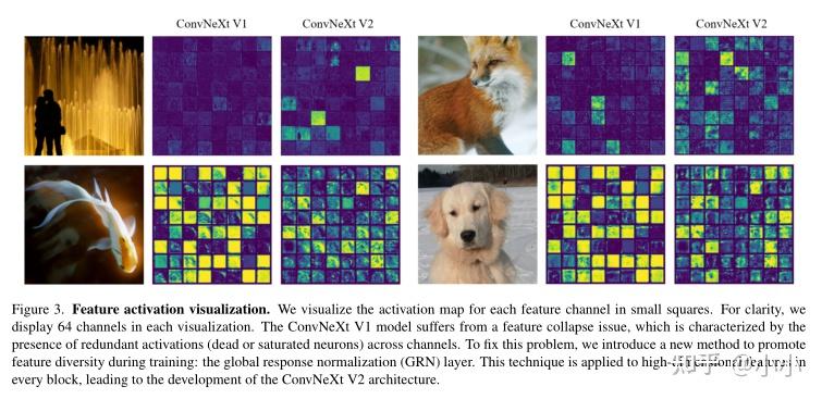 CNN（十二）ConvNeXtv2 - 知乎