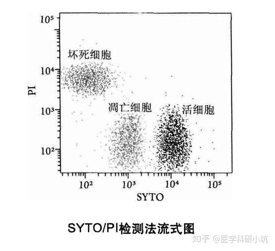 流式细胞术检测细胞凋亡还有哪些方法？ - 知乎