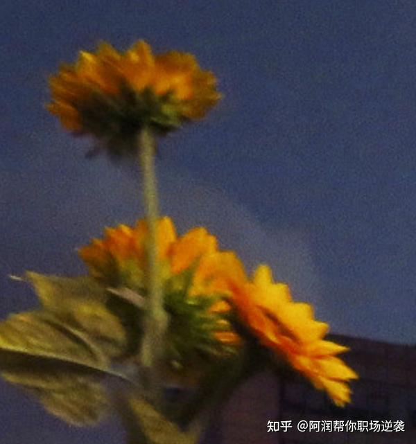 3.5.1 Python之禅（The Zen of Python, by Tim Peters） - 知乎