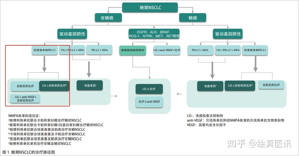 “绘”解读真报告丨U2AF1突变实例印证！为啥肺癌患者有必要扩大基因检测范围？ - 知乎