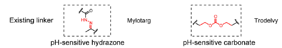 13-曜享干货 | 连接子（Linker）——mAb到ADC之路的关键 - 知乎