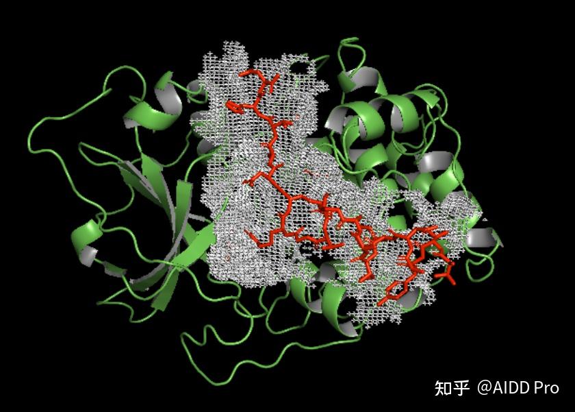 PyMOL进阶教程【02】分析蛋白活性口袋并测量体积 - 知乎