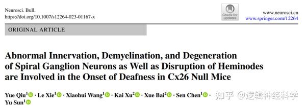 Neurosci Bull︱华中科技大学孙宇团队建立新的Cx26条件敲除小鼠模型，揭示Gjb2敲除小鼠外周听觉系统的病理生理改变 - 知乎