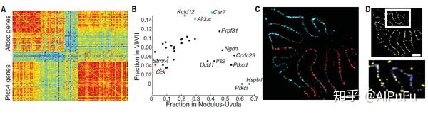 Science重磅 | 新技术Slide-seq能以高空间分辨率测量全基因组的表达情况 - 知乎