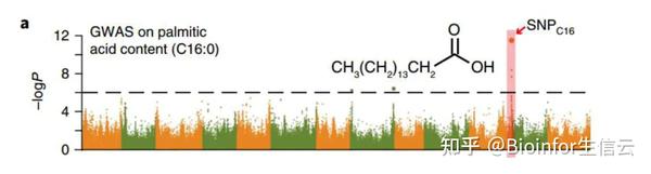 重测序分析（14）全基因组关联分析GWAS介绍 - 知乎
