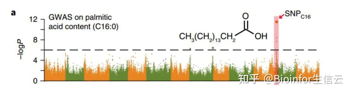 重测序分析（14）全基因组关联分析GWAS介绍 - 知乎