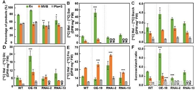 中国农业大学眭晓蕾课题组揭示苹果酸脱羧酶CsNADP-ME2介导黄瓜果实碳和氨基酸代谢平衡的作用机制 - 知乎