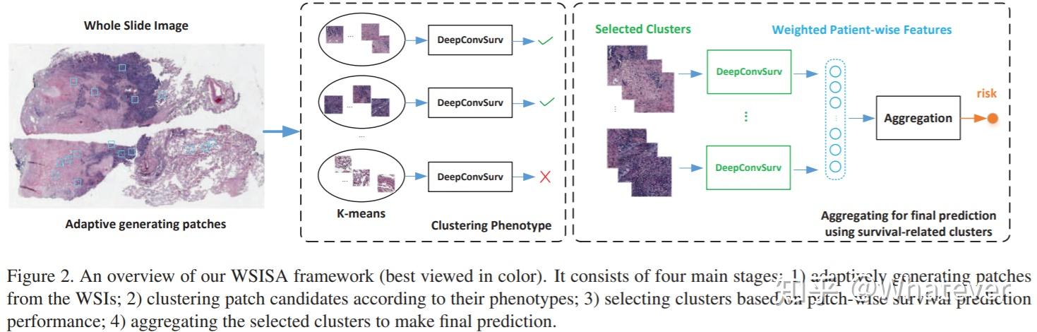 【论文解读】WSISA-在全扫描病理切片上做生存分析 - 知乎