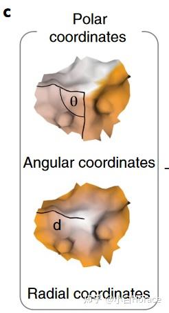 【AIDD系列】MaSIF系列论文详解，揭开蛋白表面指纹的面纱 - 知乎