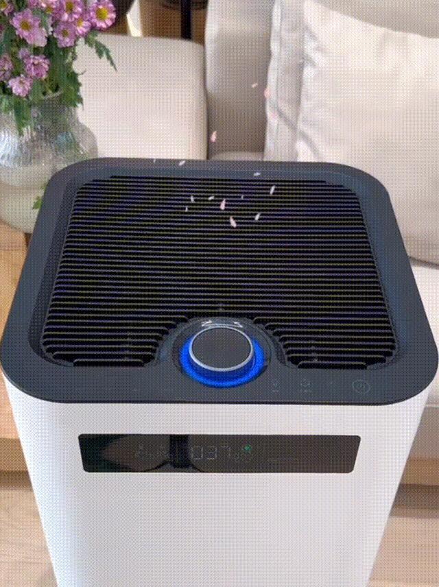 2024全网必读空气净化器选购指南 | 什么样的空气净化器最好用？IAM M8、小米 4Pro、IQAir HP250三大热门空气净化器哪家强？ - 知乎