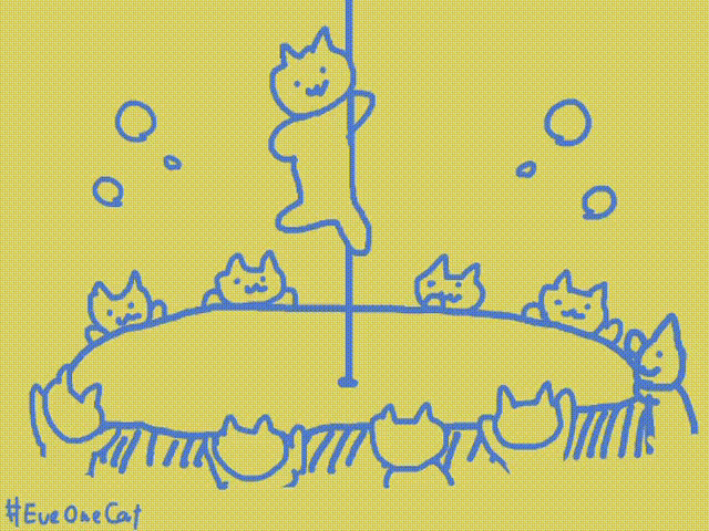 魔性猫猫everyday one cat 表情包 - 知乎