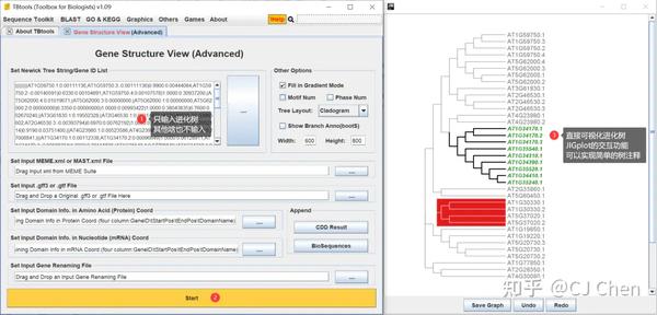 TBtools | 多图合一至强版教程！进化树 + Motifs + 结构域 + 启动子 + 基因结构 + .... - 知乎