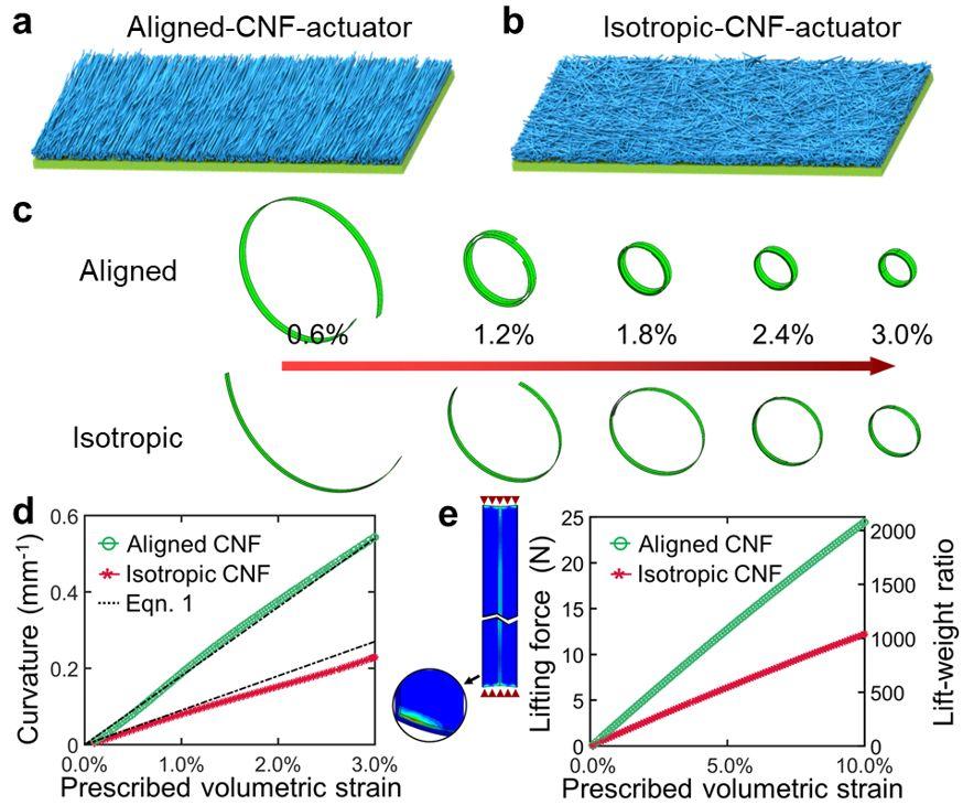 EML封面：纳米纤维素基仿生软体驱动器 - 知乎