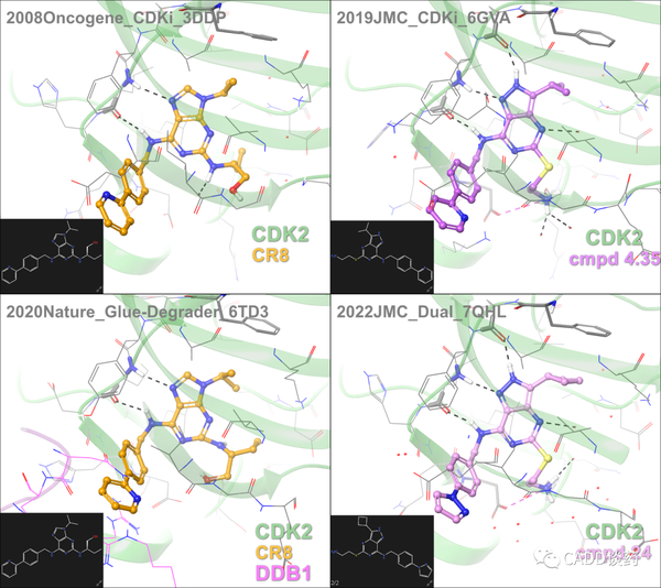 非度胺类molecular glue degrader之CR8 - 知乎