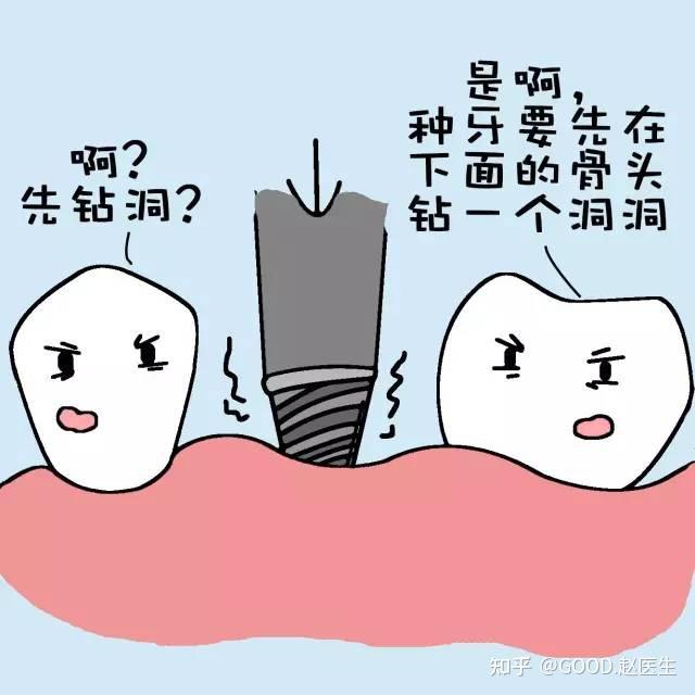 种牙会不会造成牙龈萎缩?对牙龈有无伤害? 知乎