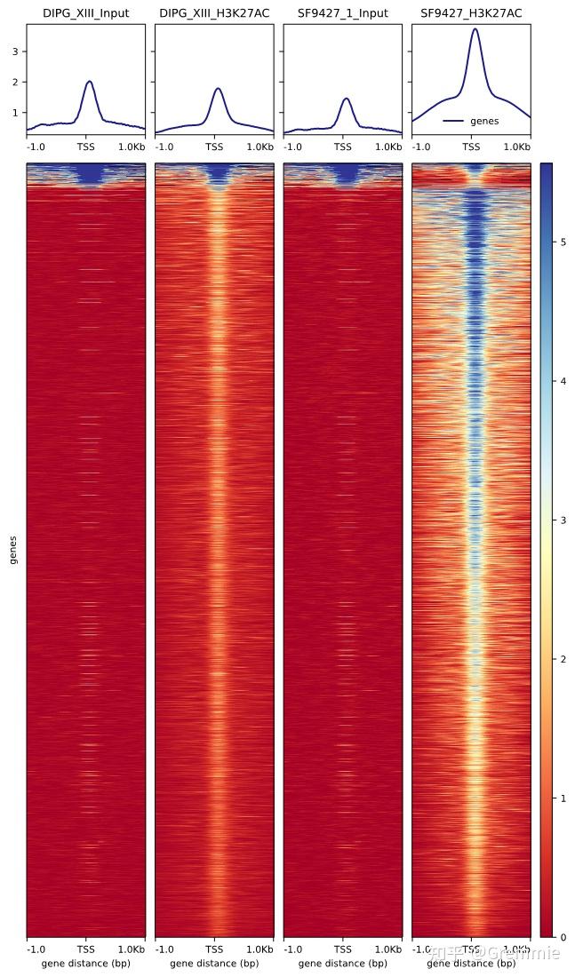 ChIP-seq数据分析全流程实战详解-pHGG的组蛋白修饰分析 - 知乎