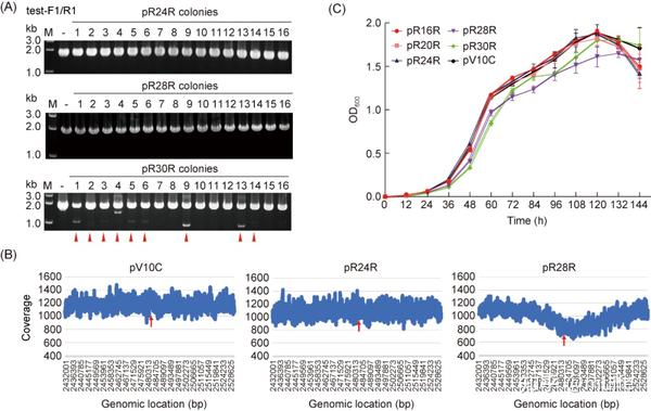 mLife | 驾驭CRISPR-Cas新策略：通过改变spacer长度同时实现基因组编辑与基因表达调控 - 知乎