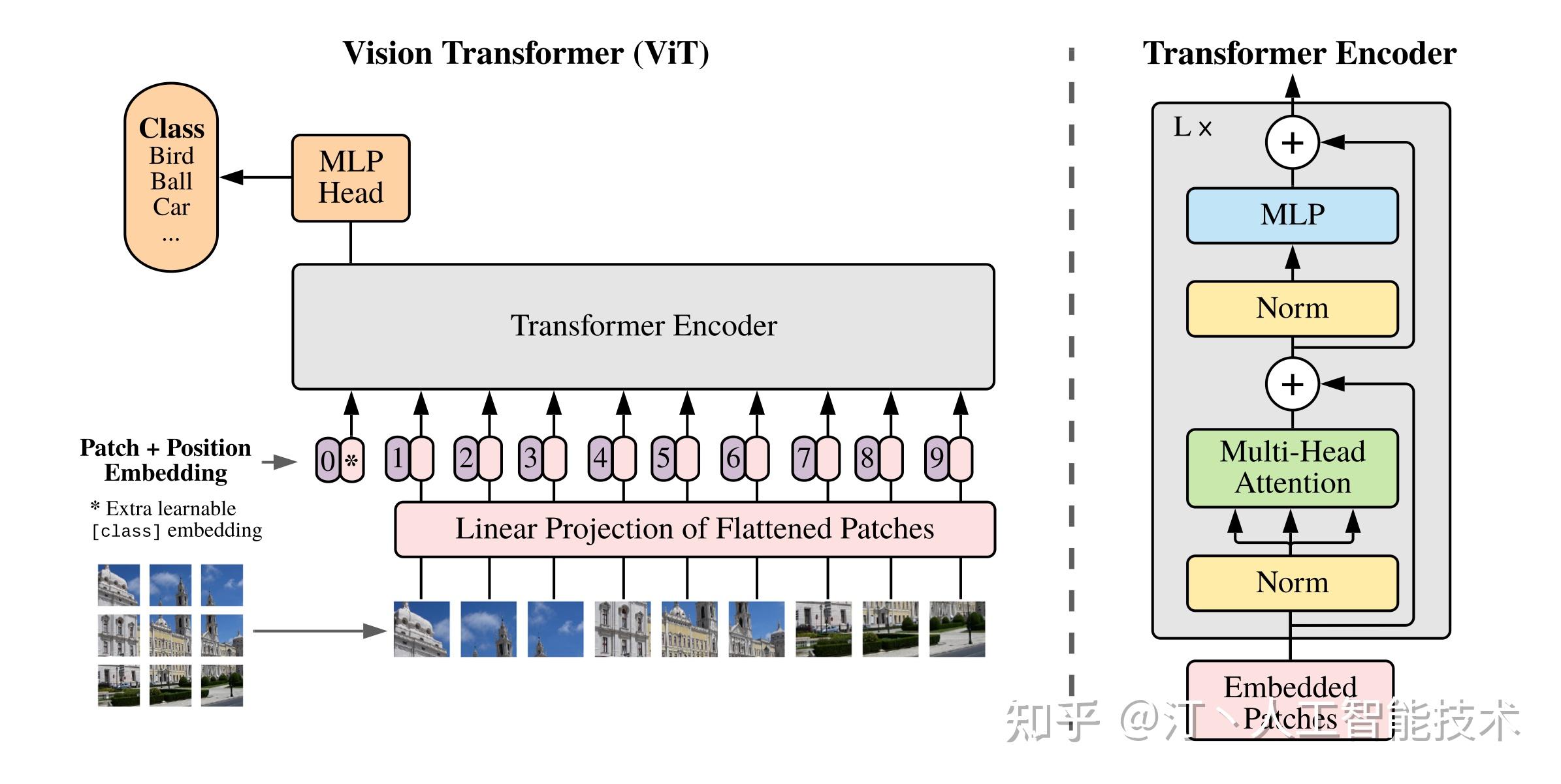深度学习应用篇-计算机视觉-图像分类[3]：ResNeXt、Res2Net、Swin Transformer、Vision ...