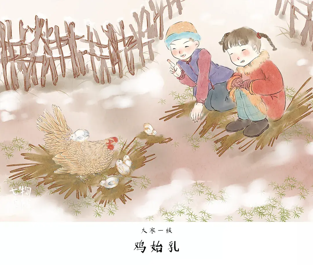 岁末大寒至，静候春归来 知乎