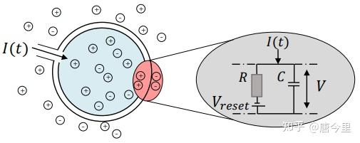 AAAI'23 | 利用脉冲神经网络扩展动态图表示学习 - 知乎