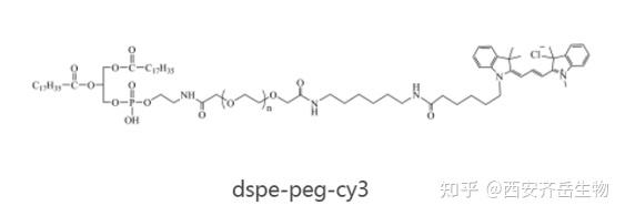 DSPE-PEG-CY3/CY3.5/CY5/CY7/CY7.5的对比和联系 - 知乎