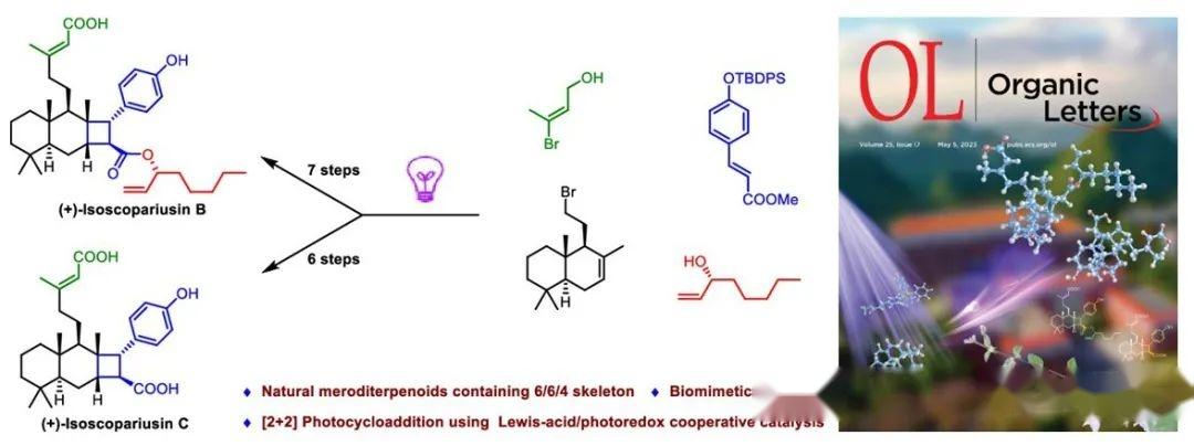 天然产物研究最新成果-202306 - 知乎