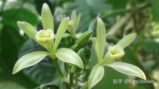 一位老人说：这三种人表面看似和善，内心实则阴险，离得越远越好 知乎