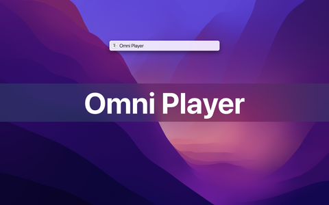 Fig Player AI 生成字幕播放器使用报告 - 知乎