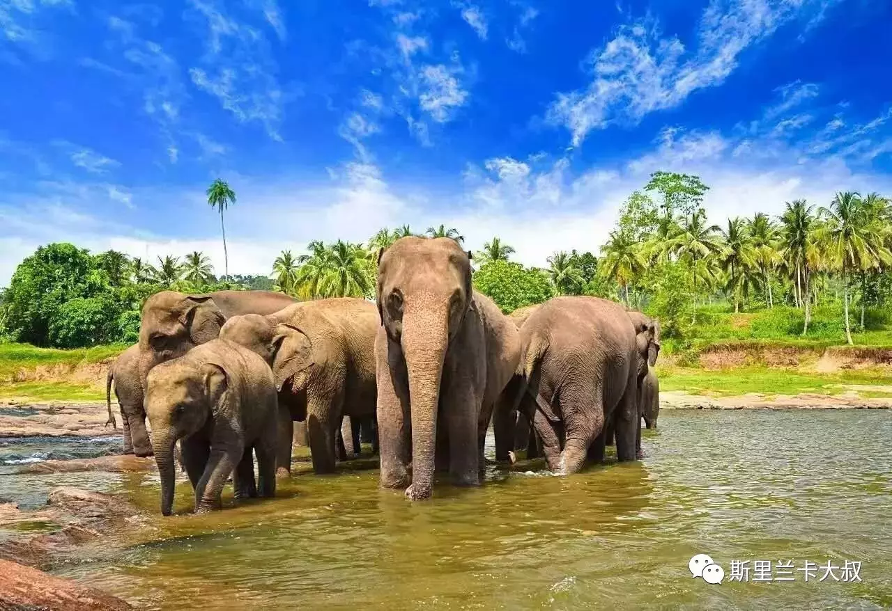 一路向锡 | 走进斯里兰卡：了解斯里兰卡 （上） - 知乎