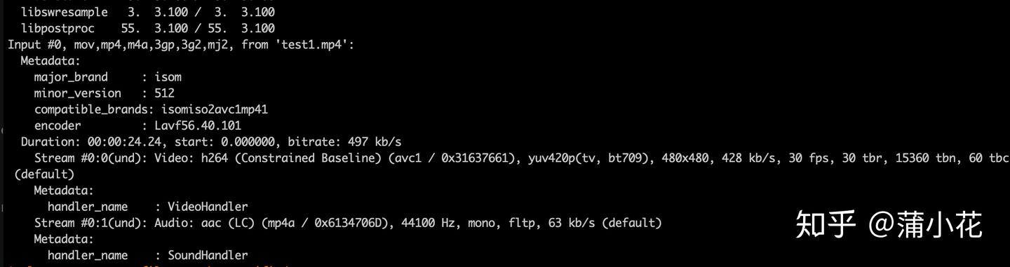 使用 JS 获取视频 Codec - 知乎