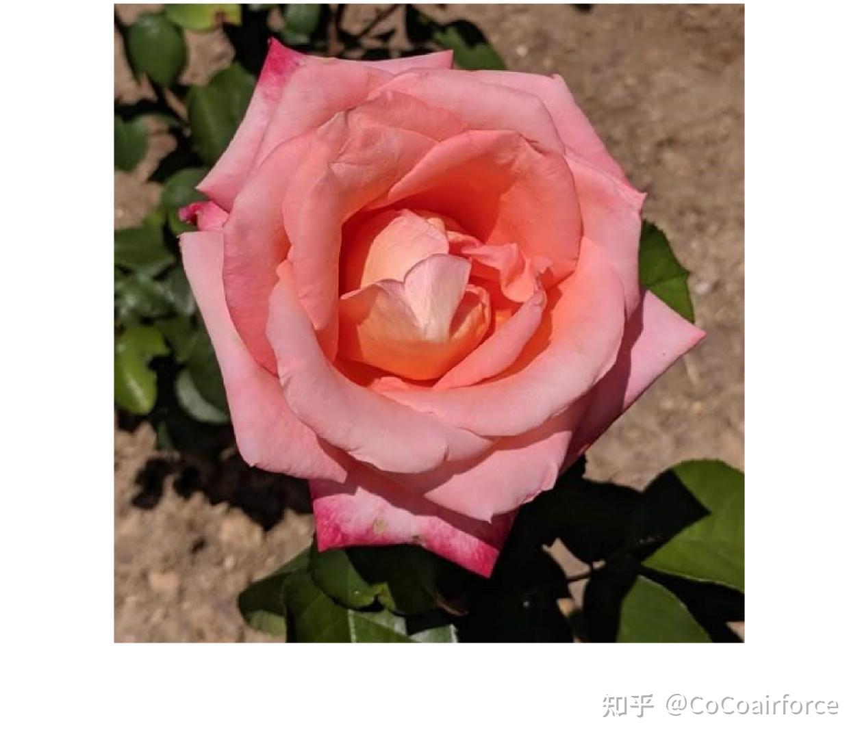 卷积与滤波 -- Convolution and Filtering - 知乎