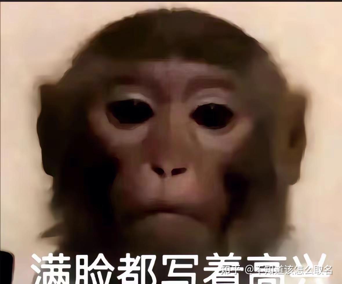 猴子表情包汇总 - 知乎