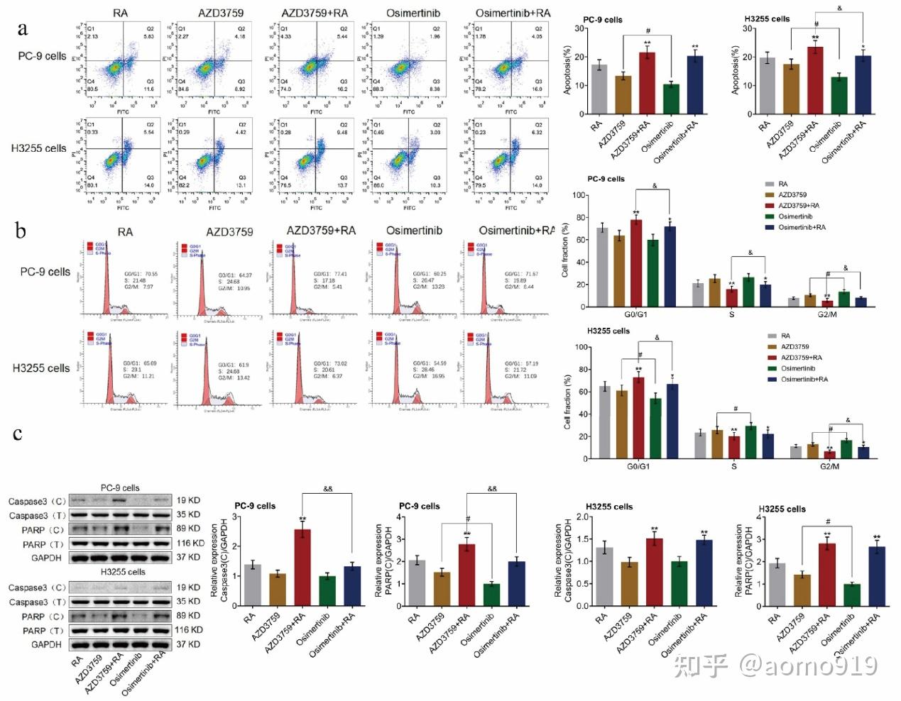 AbMole科研-AZD3759通过协同阻断表皮生长因子受体和Janus激酶-1增强非小细胞肺癌的辐射效应 - 知乎