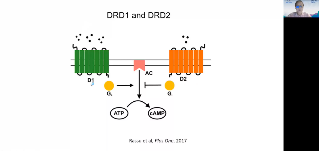 直播回顾 |「大成学堂」DA(VTA)→5-HT(DRN)神经环路调控神经厌食症 - 知乎