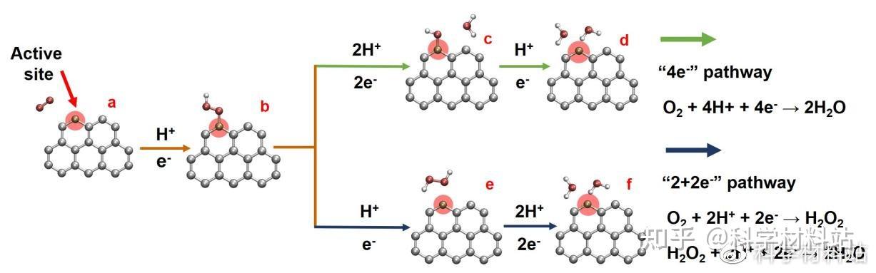 胡传刚教授/戴黎明教授Angew综述：碳基无金属酸性ORR电催化剂研究进展 - 知乎