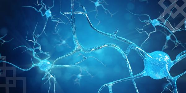 Eplontersen可减缓ATTRv-PN疾病进展、改善神经病变损伤和生活质量 - 知乎