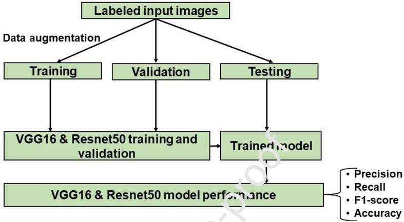 深度学习算法在不同图像背景下杂草和作物物种识别中的性能研究 - 知乎