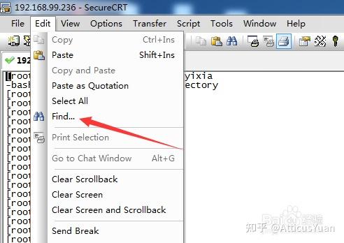 掌握这些技巧让你的 SecureCRT 好用10倍 - 知乎