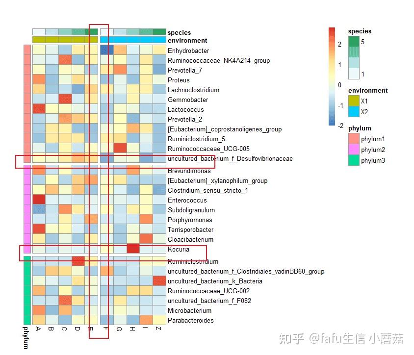 R语言pheatmap包绘制热图进阶教程 - 知乎