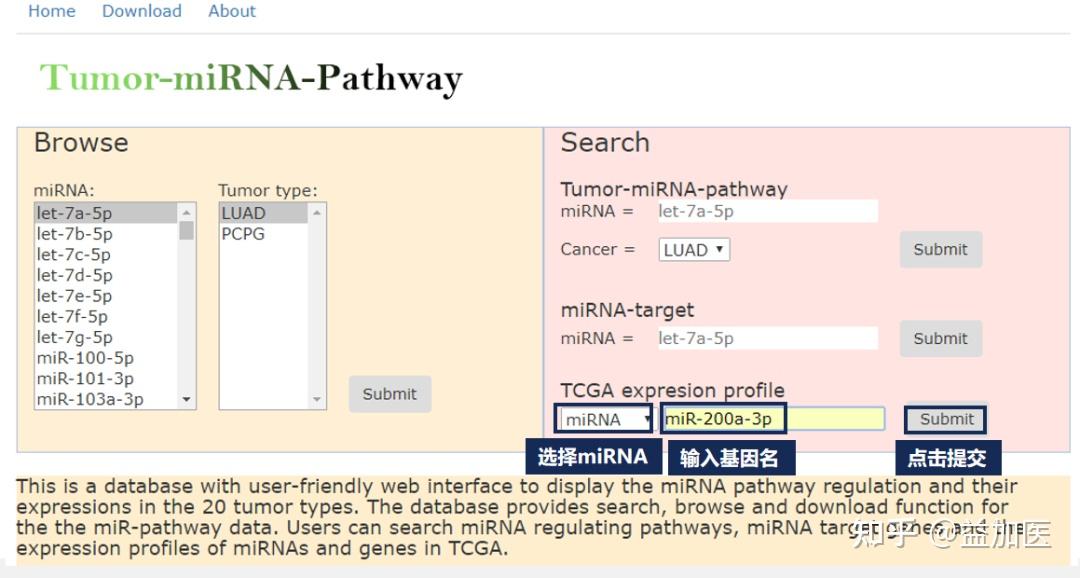 如何让miRNA研究“更精致” ？教你一键在线查询miRNA表达和甲基化水平 - 知乎