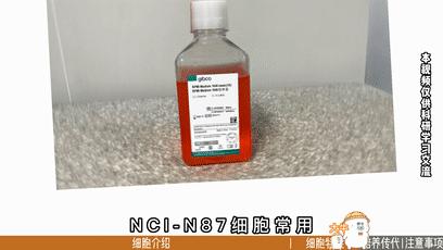 NCI-N87细胞培养，人胃癌细胞培养攻略 - 丰晖生物 - 知乎